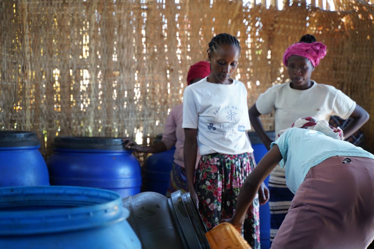 ゴワチョ アナエロビック ナチュラル Gowacho Anaerobic Natural G1 - EthiopiaCoffeeDirect